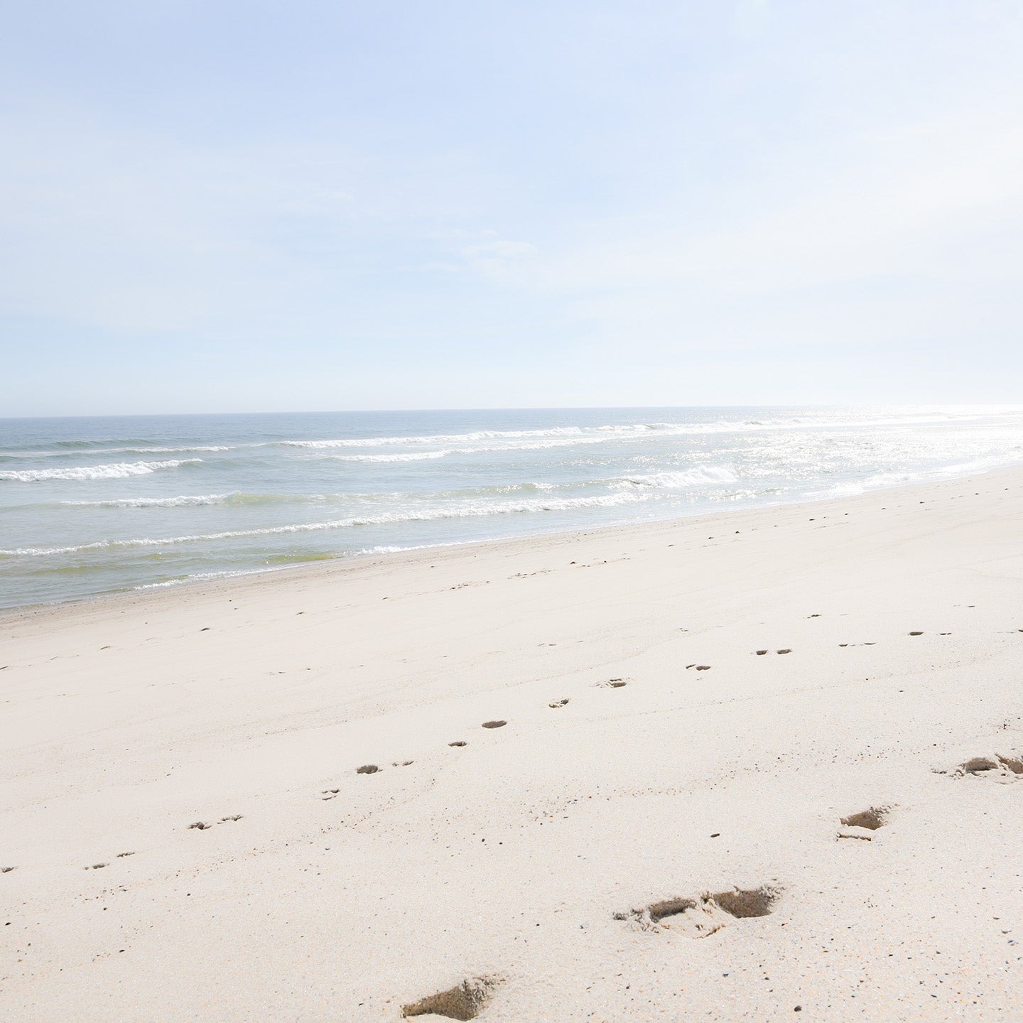Beach Coastal Photograph- Cape Cod, Bahamas – Sarah Dasco